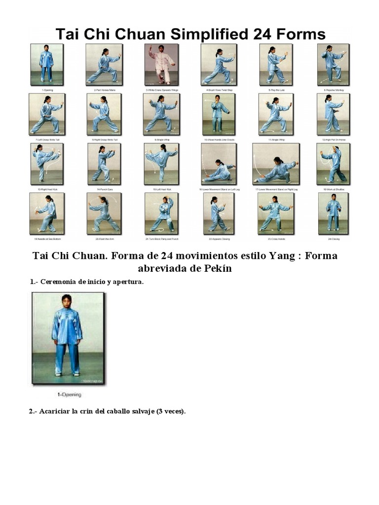 24 Formas Del Tai Chi Chuan | PDF | Hogar, jardinería y bricolaje