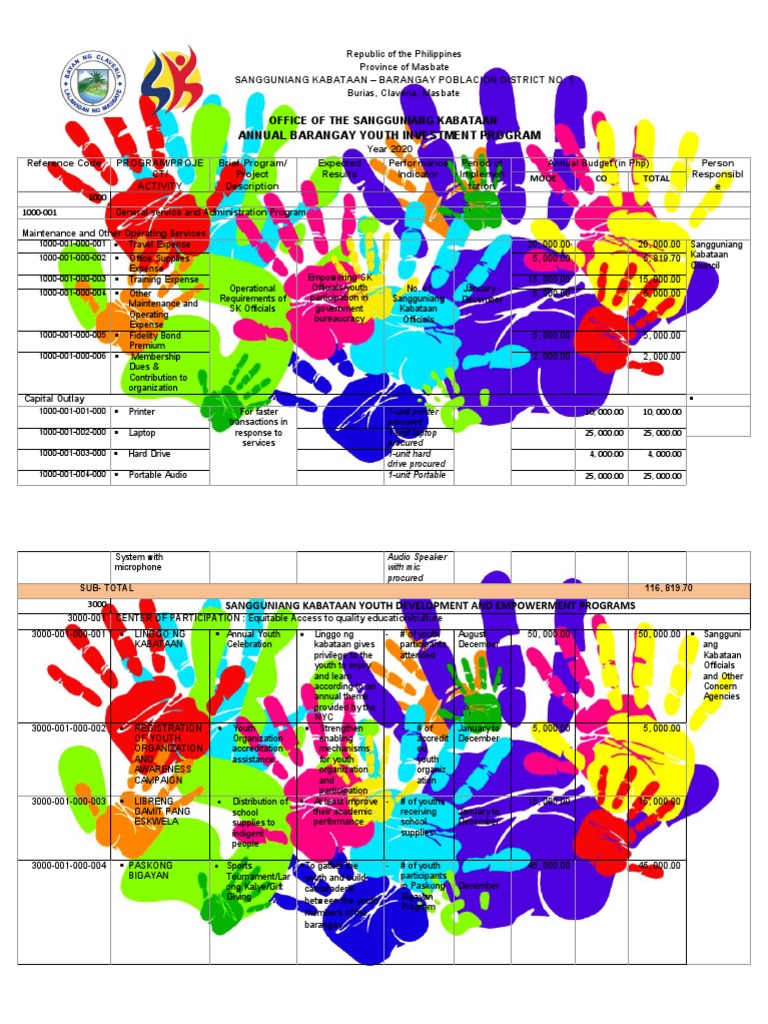 Annual Barangay Youth Investment Program Budget and Initiatives for ...