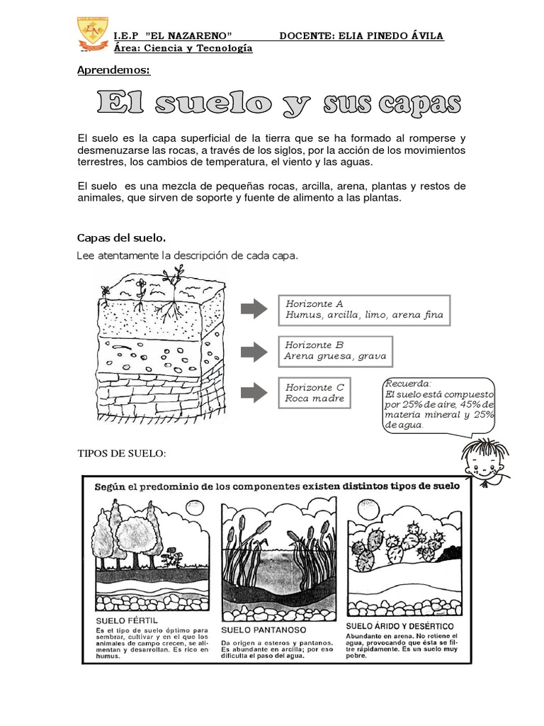 Capas y Composición del Suelo | PDF | Suelo | Ciencias de la Tierra