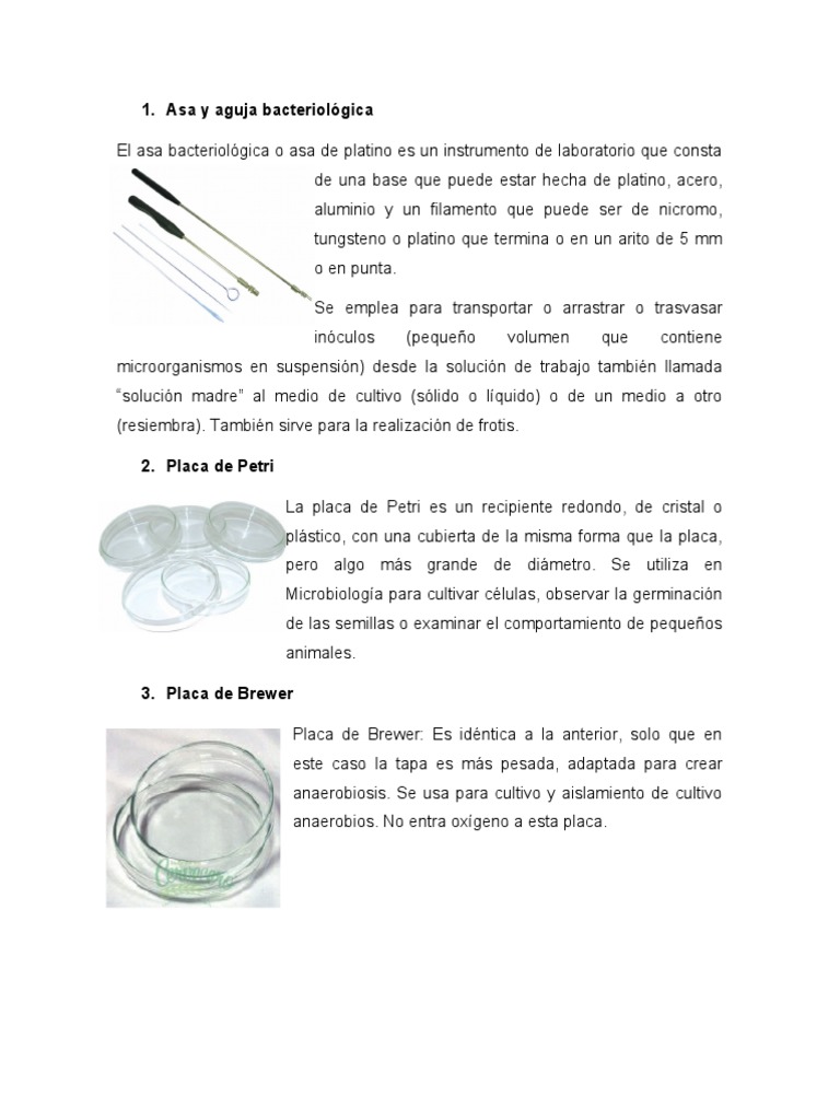 Asa y aguja bacteriológica | PDF | Science | Biología