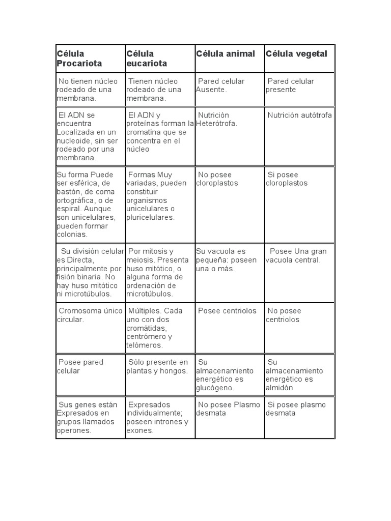 Cuadro Comparativo de Las Células | PDF