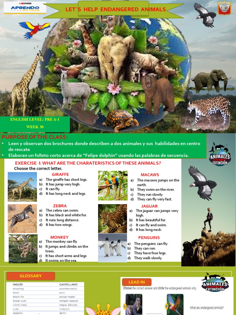 Let's Help Endangered Animals | PDF | Language Arts & Discipline ...