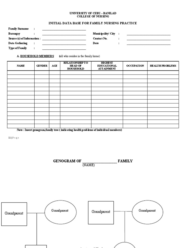 Initial Data Base Form (TEMPLATE) | PDF | Public Health | Wellness