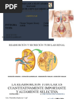 Cápsula Renal | PDF | Riñón | Órgano (anatomía)