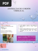 Clasificación de Grados de Placenta Grannum | PDF | Placenta | Parto