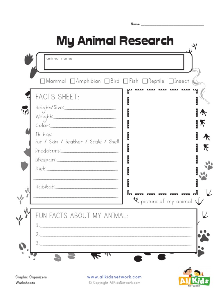 Graphic Organizers My Animal Research PDF | PDF