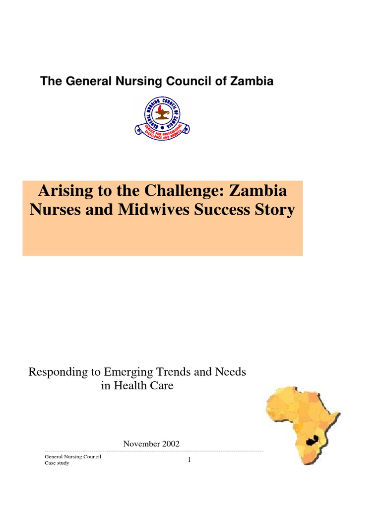 Arising To The Challenge PDF | PDF | Midwife | Nursing