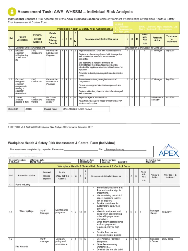 AWE Individual Health Safety Risk Assessment Control Form 2 | PDF