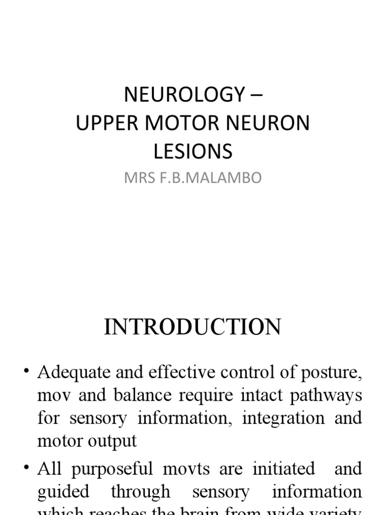 Combo Upper Lesions 5th Year | PDF | Nervous System | Neurological ...