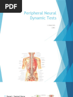 Upper Limb Neurodynamic Tests Overview | PDF
