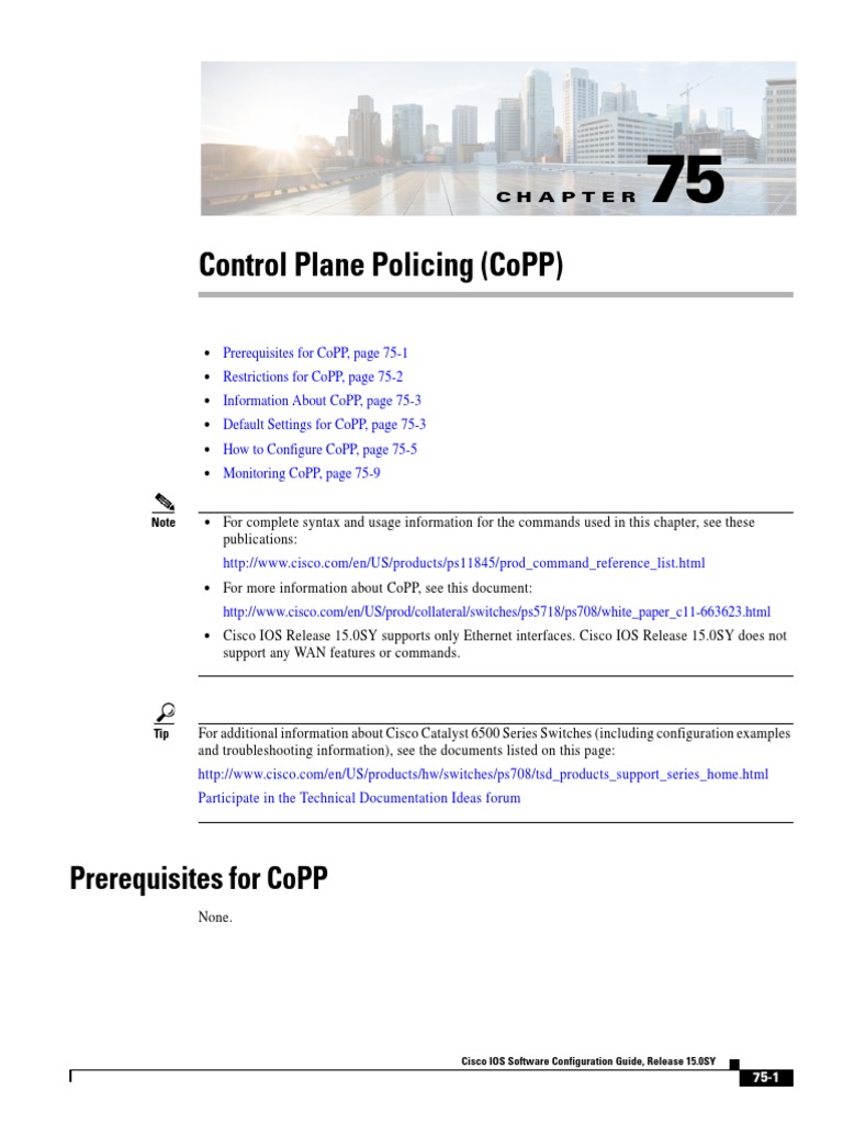 Control Plane Policing Copp PDF | PDF | Router (Computing) | File ...