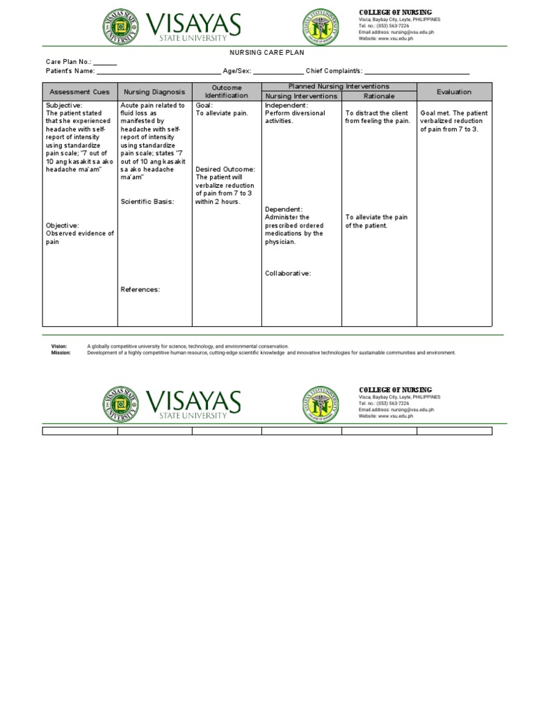 NCP-Template 2 | PDF | Pain | Nursing