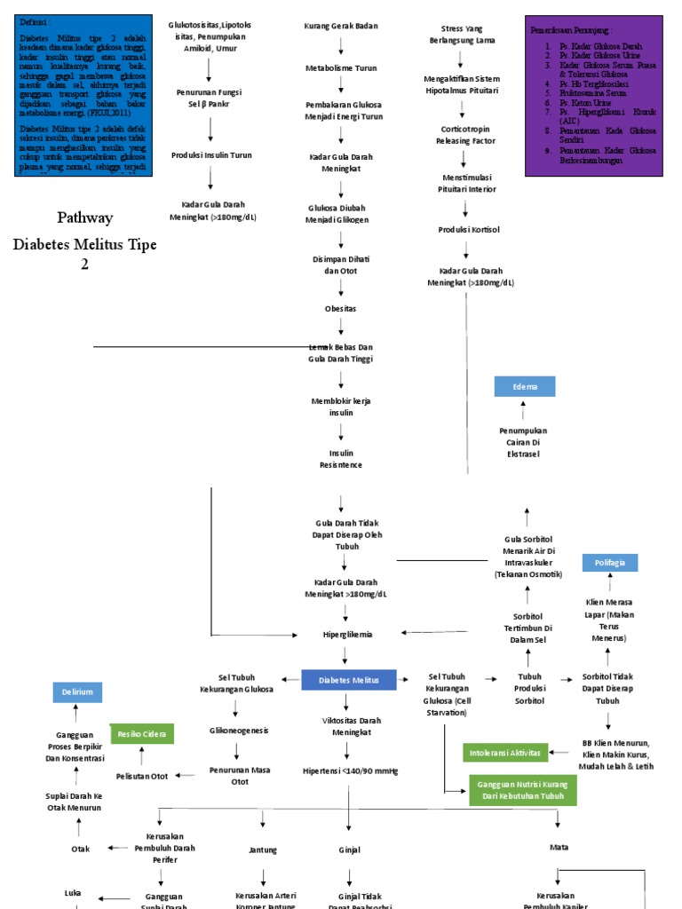 Pathway DM Tipe 2 Fixxxx | PDF