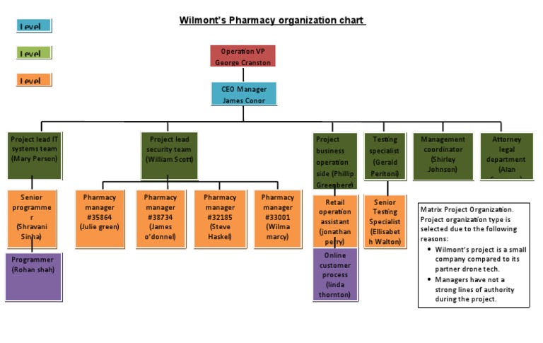 Level Level Level: Wilmont's Pharmacy Organization Chart | PDF | Business