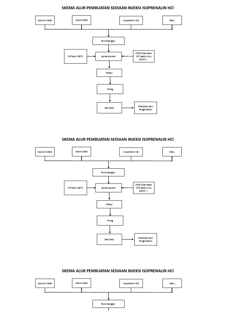 Alur Pembuatan Sediaan Injeksi | PDF
