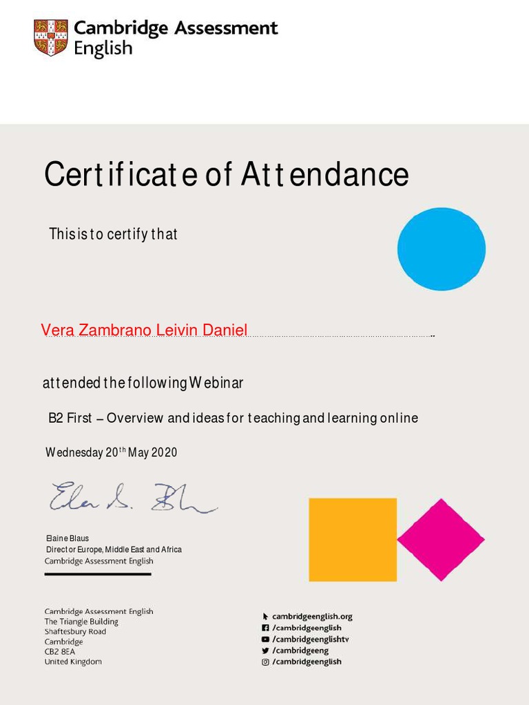 B2 First Overview and Ideas For Teaching and Learning Online | PDF