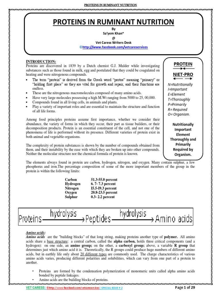 Proteins in Ruminant Nutrition PDF | PDF | Amino Acid | Ruminant