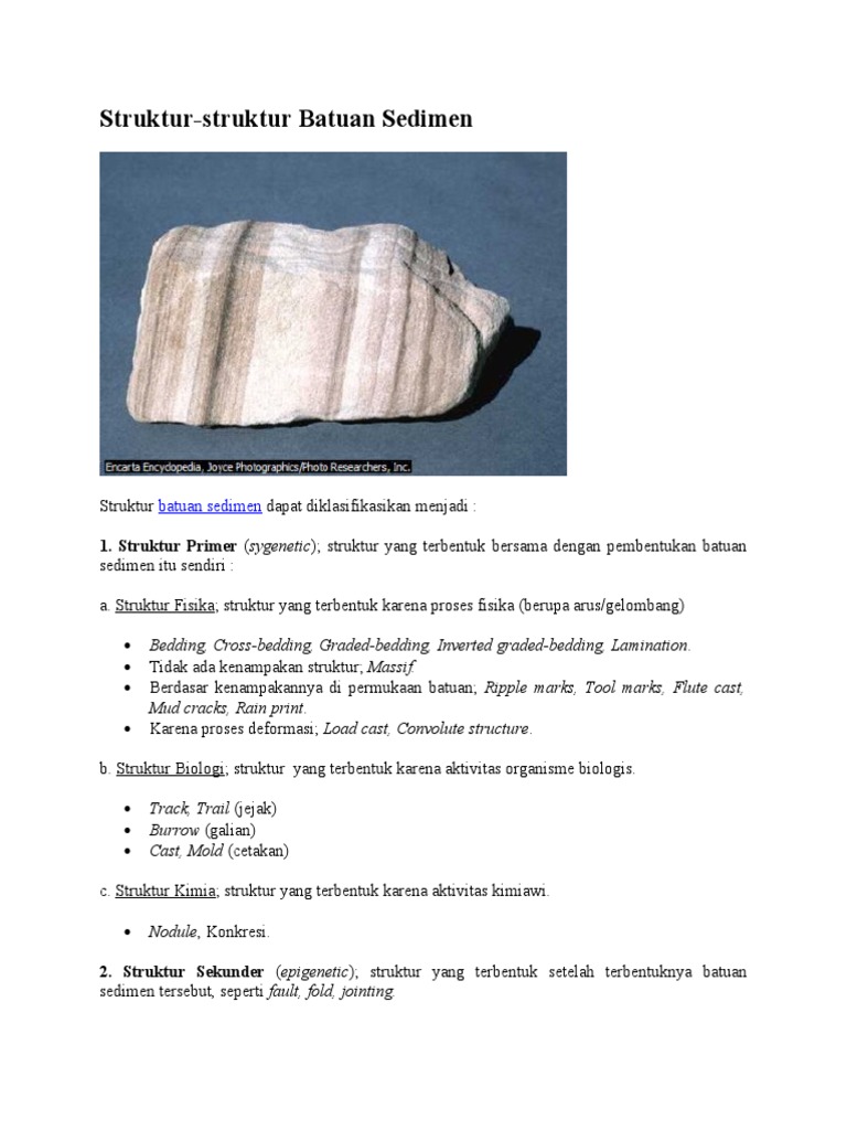 Struktur Batuan Sedimen dan Pembentukannya | PDF