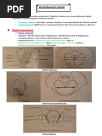 Partogramme | PDF | Accouchement | Médecine