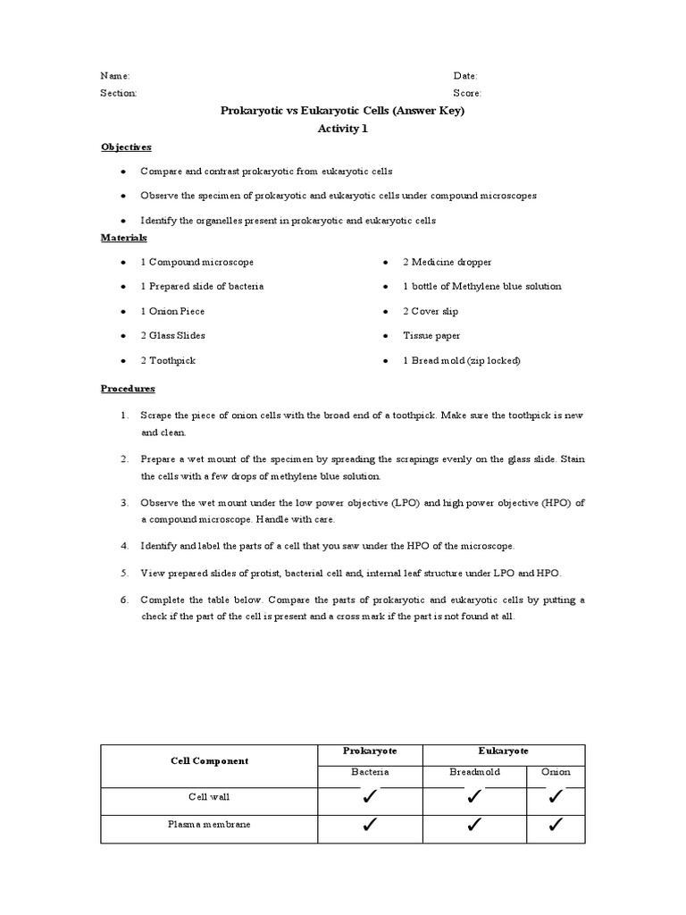 Group 3 Prokaryotic Vs Eukaryotic Cells Activity Sheet ANSWER KEY | PDF ...