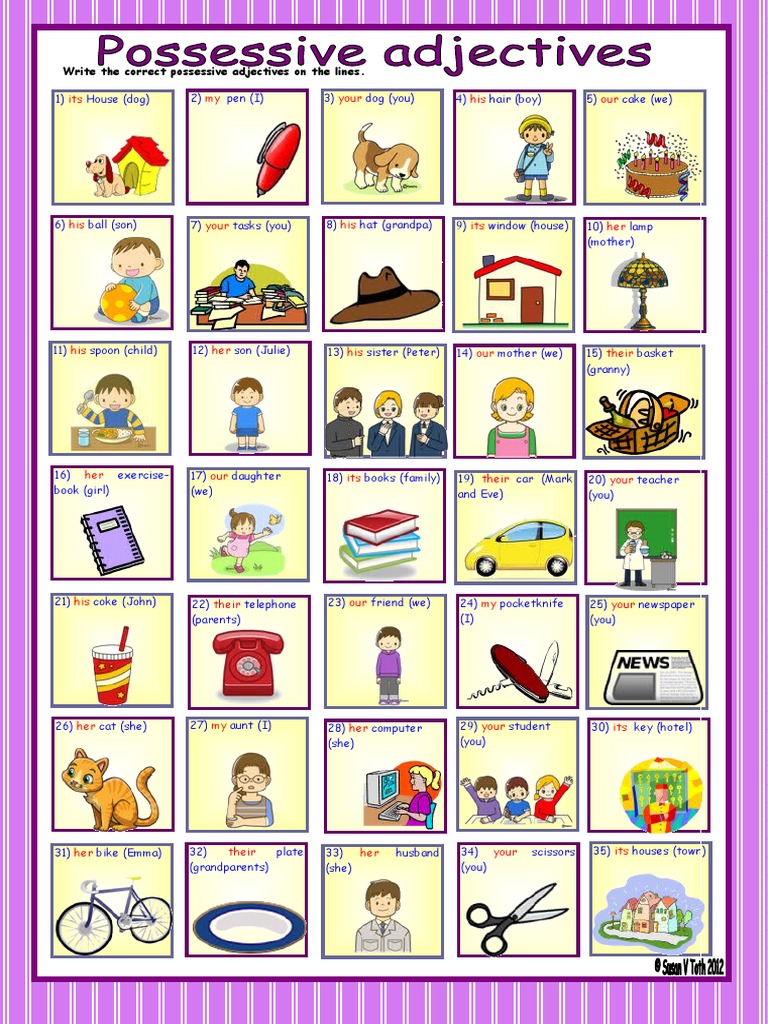 Possessive Adjectives With Key Tests - 30825