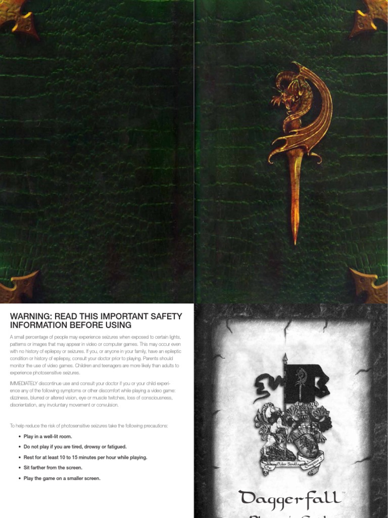 Daggerfall - Reference Card PDF | PDF | Epilepsy | Leisure