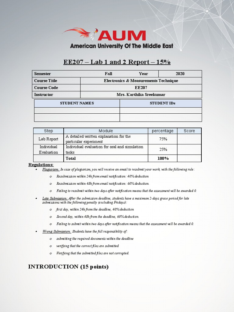 EE207 Lab Report Guidelines | PDF | Evaluation | Cognitive Science