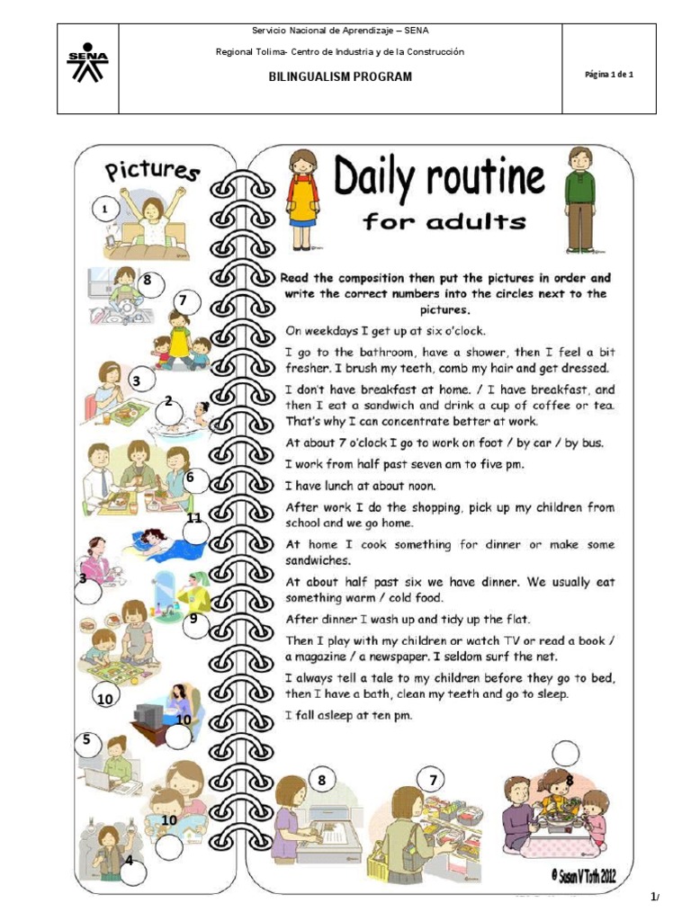 Daily Routine For Adults | PDF | Comida | Comida y bebida