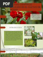 30 Vegetales Con Sus Cromosomas | PDF