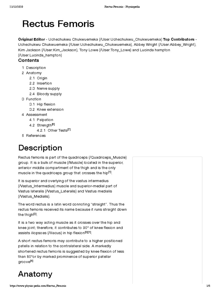 Rectus Femoris - Physiopedia | PDF | Knee | Musculoskeletal System