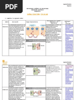 Inserto Spinreact | PDF | Colesterol | Glucosa