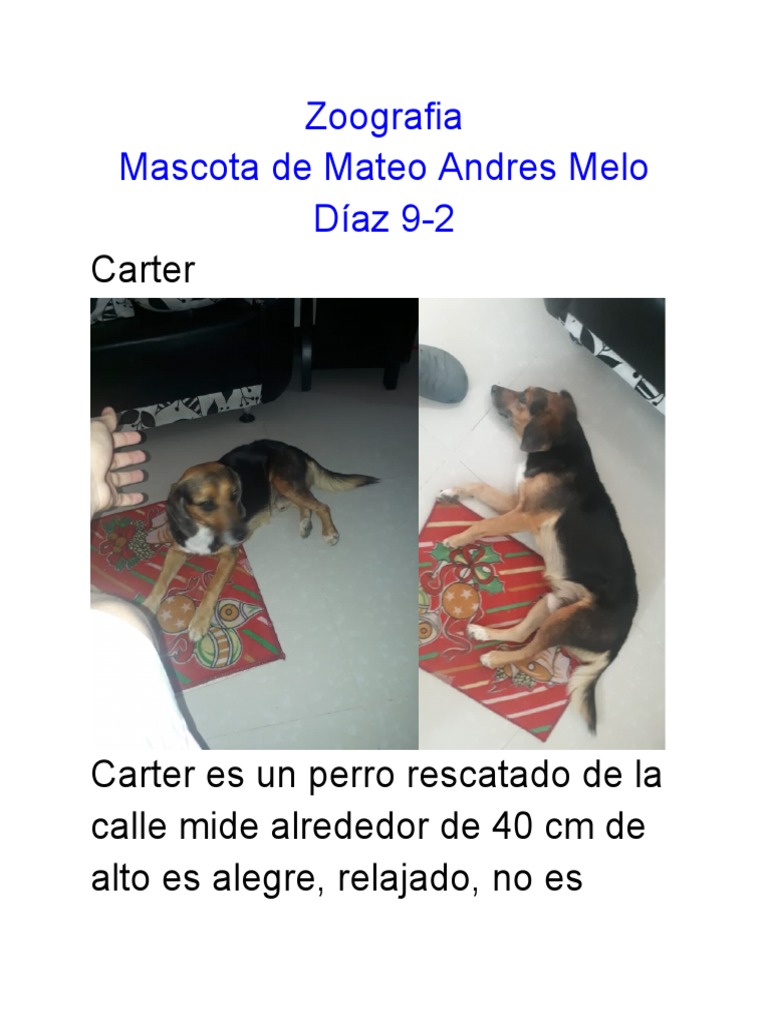 Zoografia Español | PDF