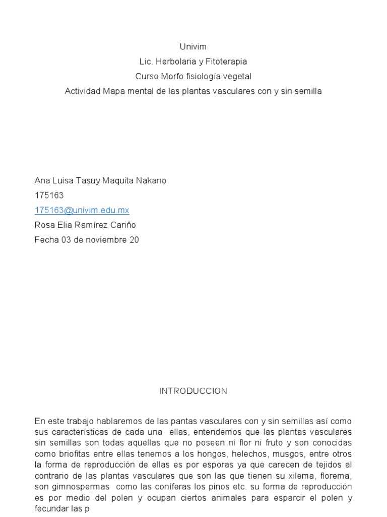 Clasificación de Plantas Vasc. y No Vasc. | PDF | Hogar, jardinería y ...
