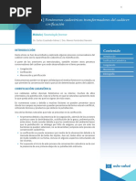 Corificación: Conservación Cadavérica | PDF | Descomposición | Química