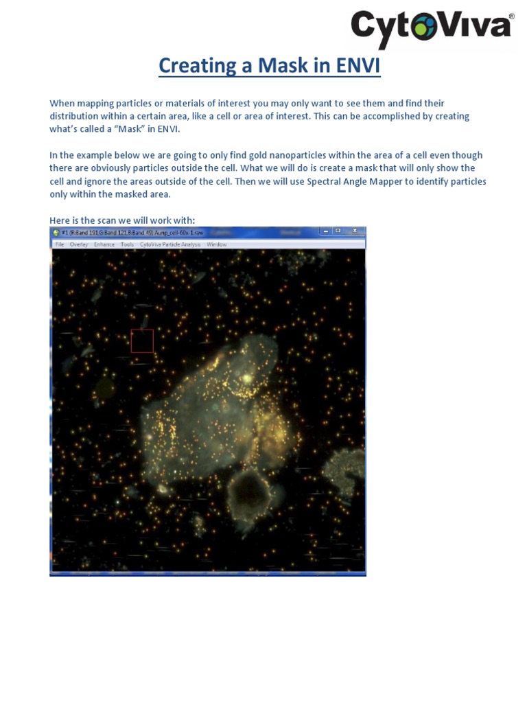 Creating A Mask in ENVI | PDF | Spectrum | Computing