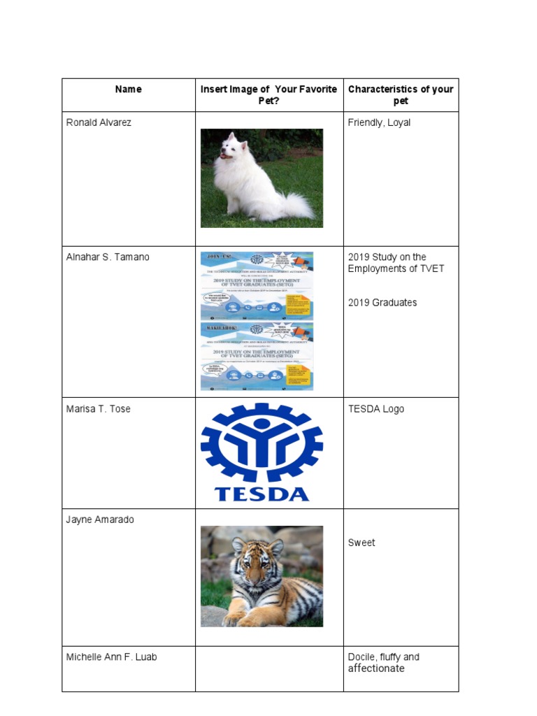 Pet Characteristics and Descriptions | PDF