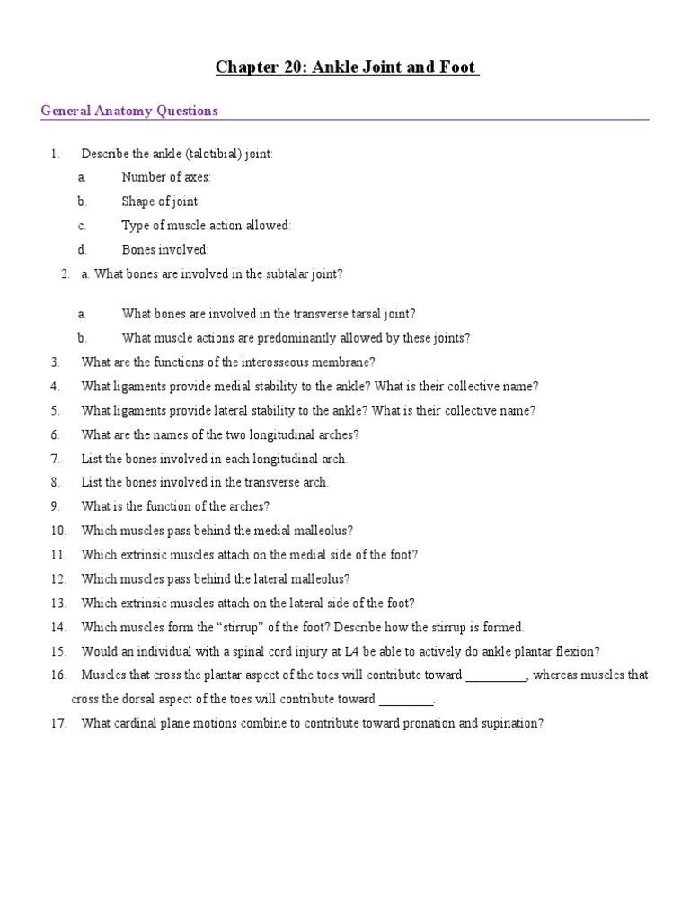 Chapter 20: Ankle Joint and Foot: General Anatomy Questions | PDF ...