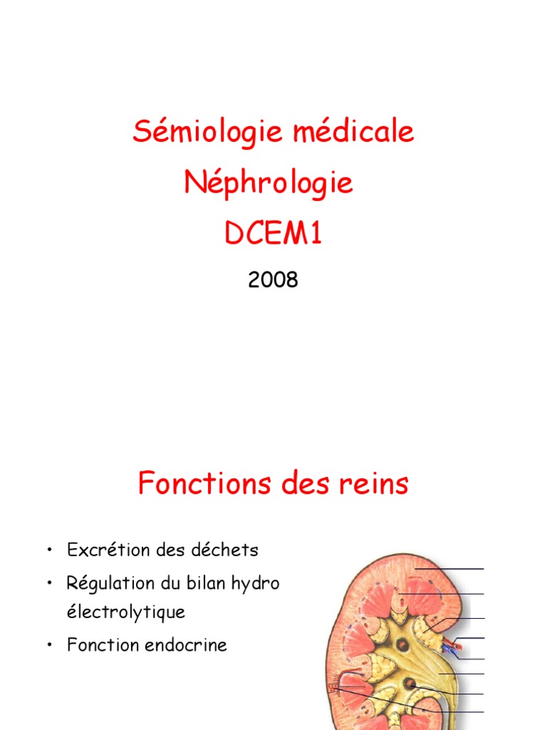 Cours 18 - Néphrologie | PDF | Hypertension artérielle | Appareil urinaire
