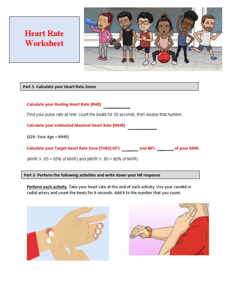Heart Rate Worksheet | PDF