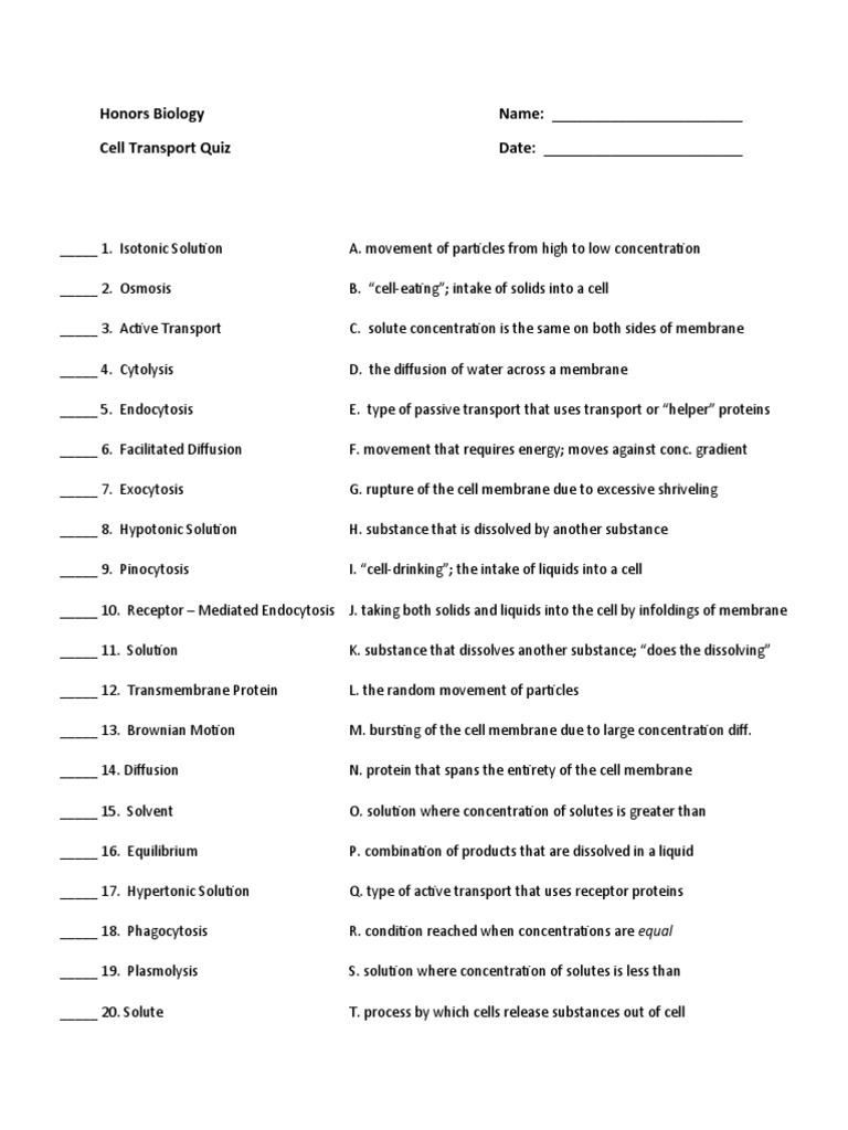 Cell Transport Quiz Match | PDF