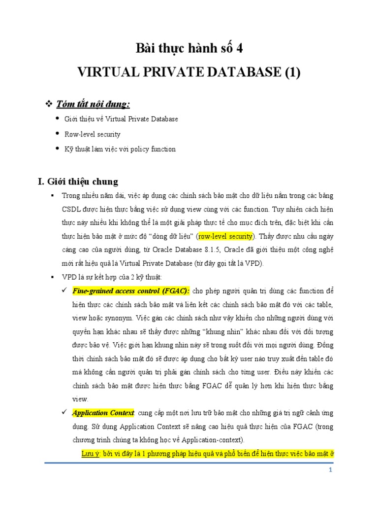 04 - Oracle Virtual Private Database | PDF