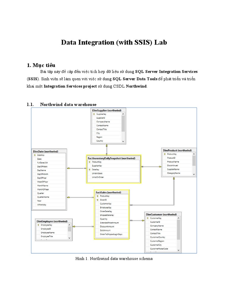 Data Integration (With SSIS) Lab PDF | PDF
