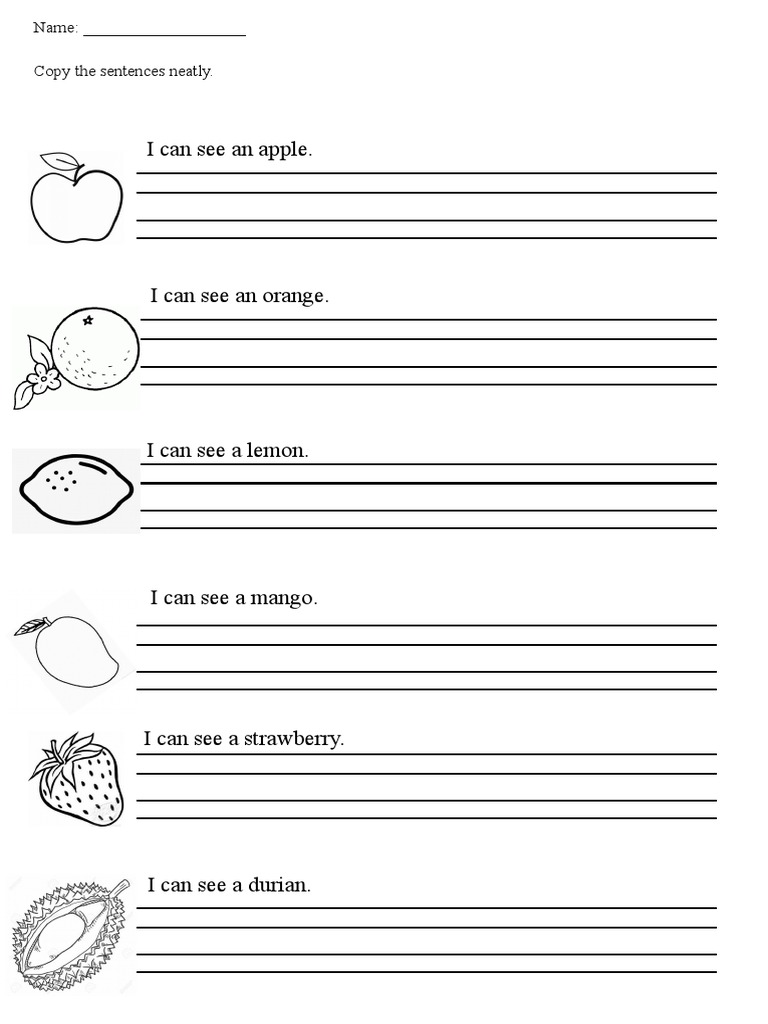Copy Sentences | PDF