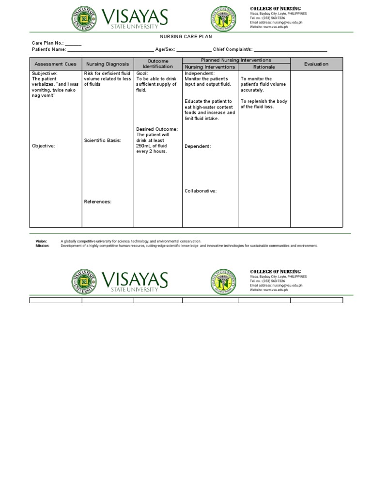 NCP-Template 5 | PDF | Nursing | Sustainability