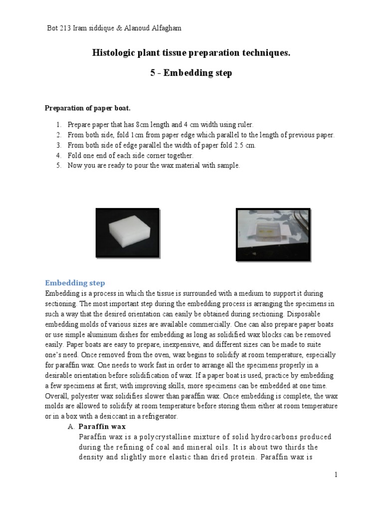 Histologic Plant Tissue Preparation Techniques. 5 - Embedding Step ...