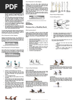 Essential Posture Checklist Guide | PDF
