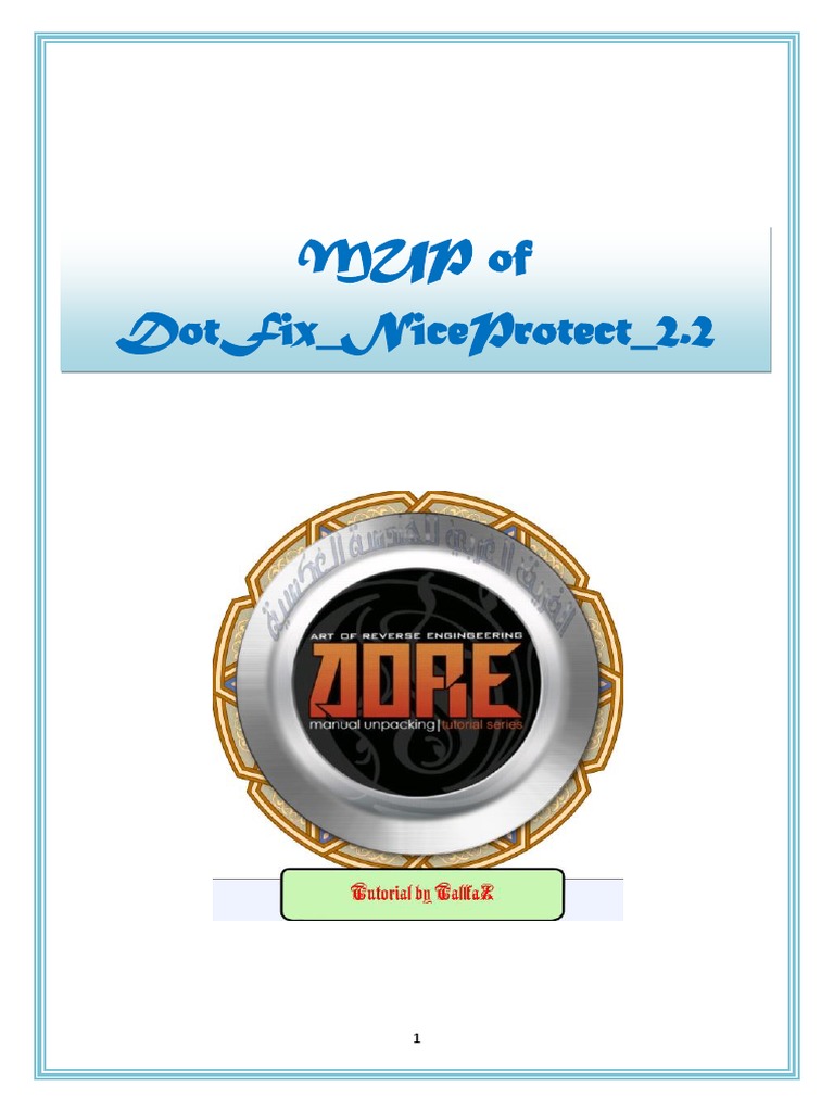 Unpacking DotFix NiceProtect v2 2 (TallfaZ) | PDF | Digital Technology | Software Engineering