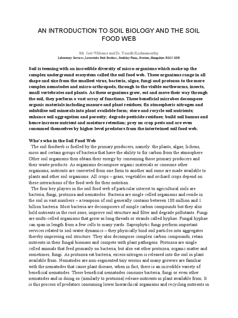 Soil Biology and Food Web Overview | PDF | Food Web | Soil