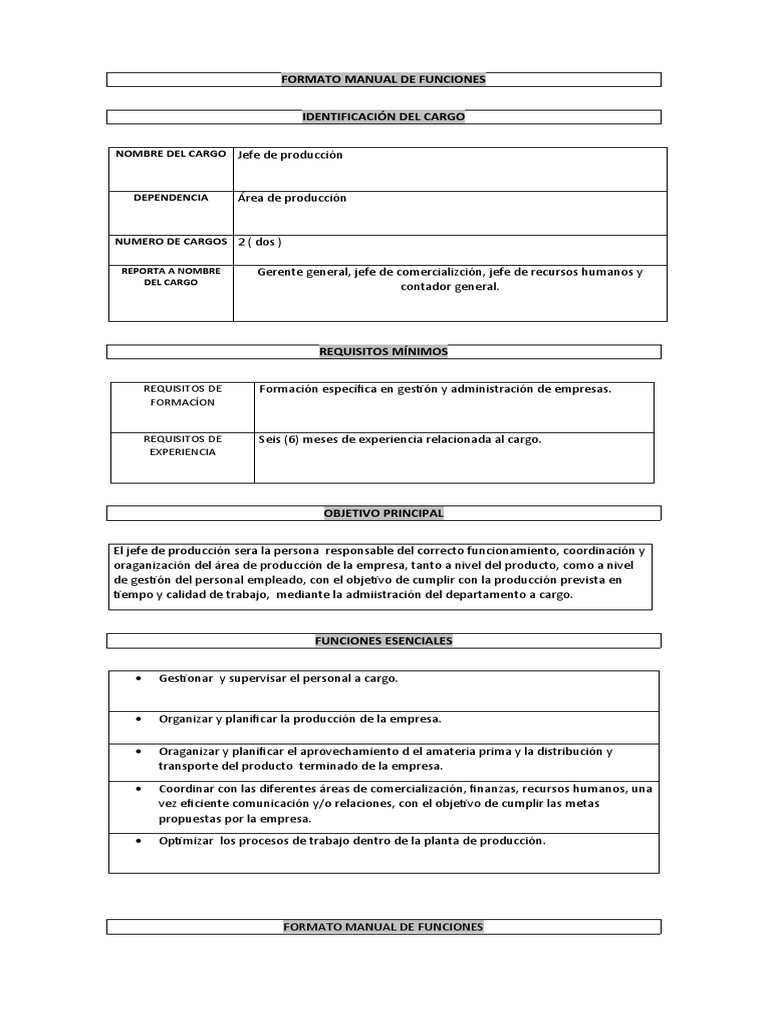 Formato Manual de Funciones | PDF | Gestión de recursos humanos | Business