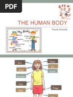 MR Shape Head Body PDF | PDF | Wellness